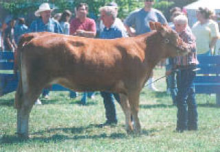 Silvana Fair attracts 4-H and more into Silvana | Marysville Globe