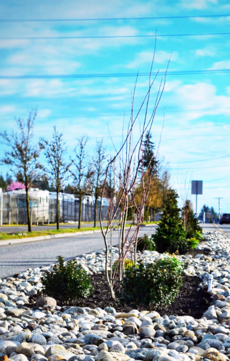 Walk, bike (or drive) to Complete Streets workshop April 26 ...