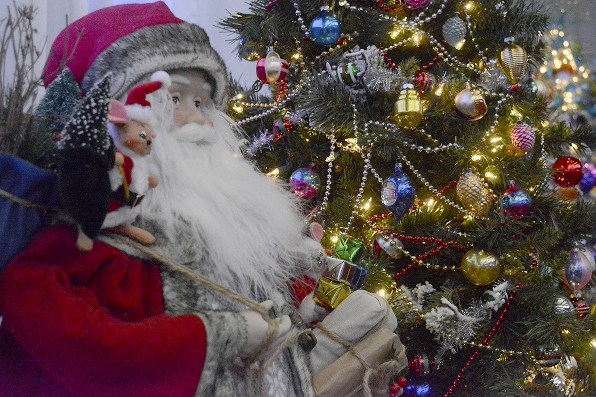 The prices these Christmas trees go for could shock you (slide show ...